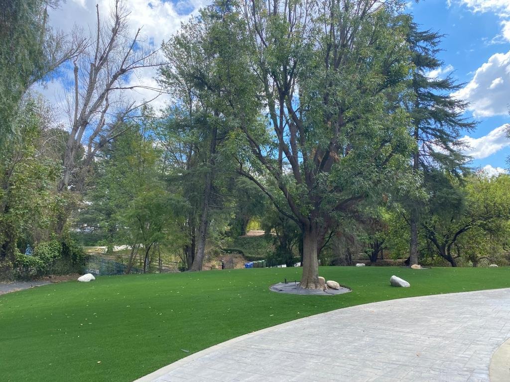 Artificial grass – Regal Landscaping & Construction